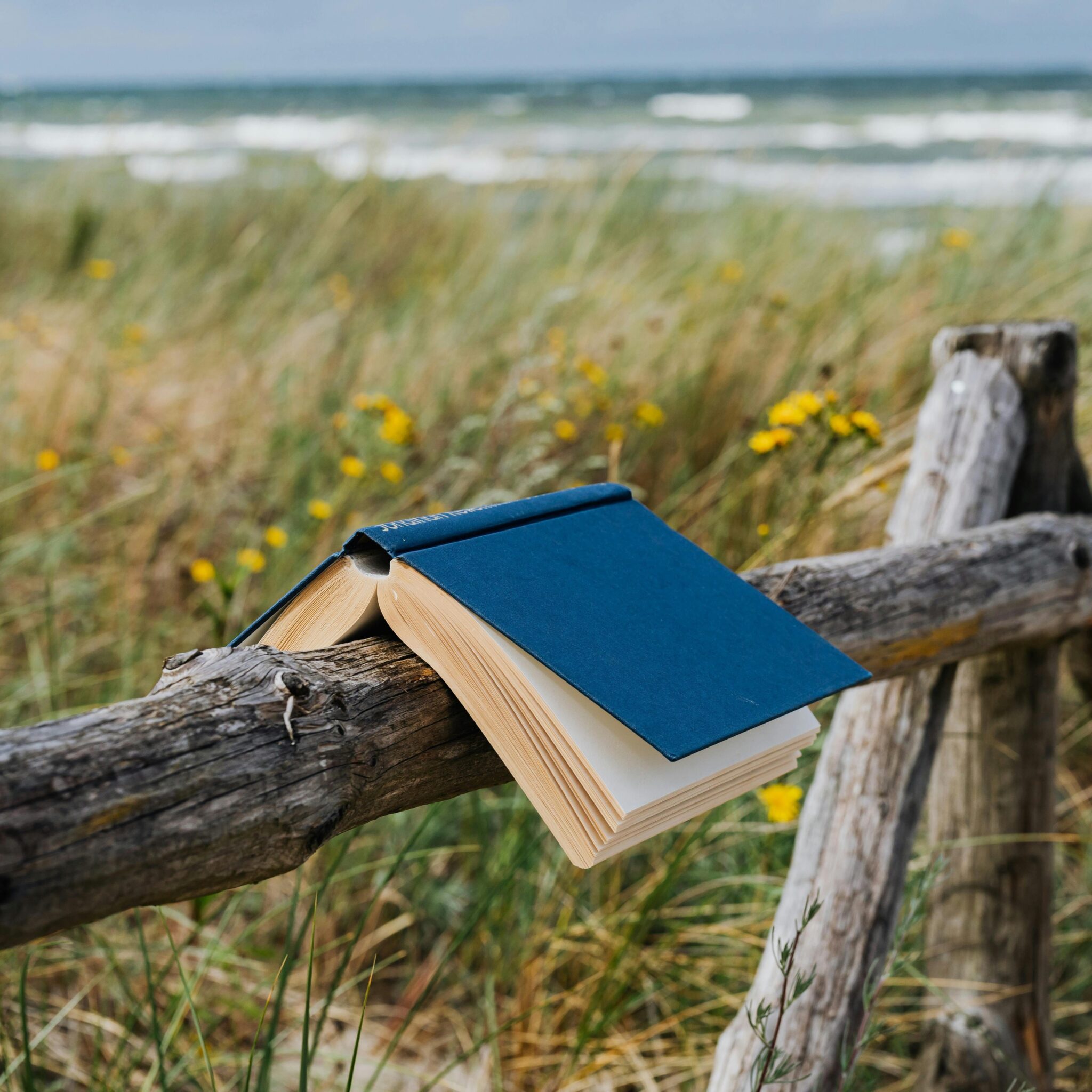 Free price analysis of CR autos with the Costa Rica Car Blue Book